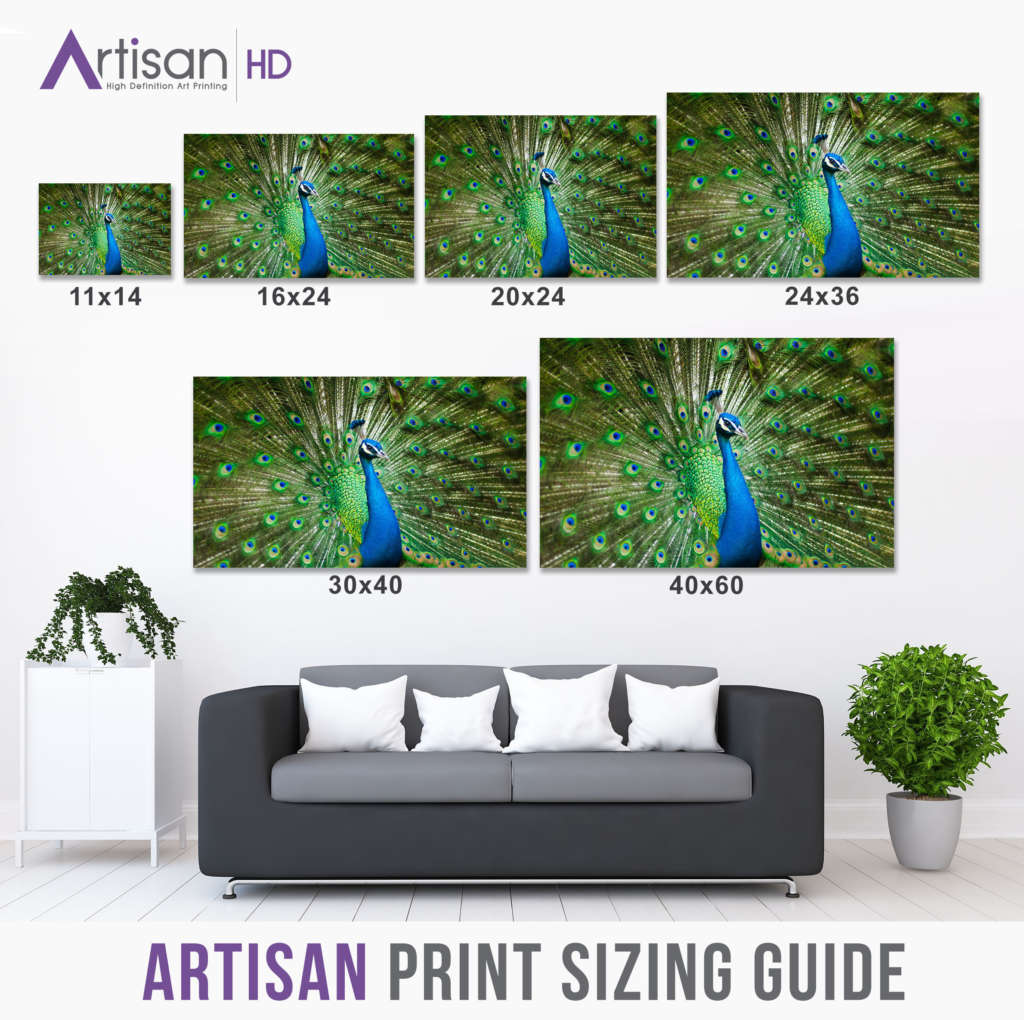 Print Big How Big Can I Print Before I Lose Resolution 