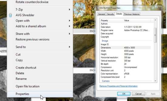 Sizing Images for Print: How Big Can I Print my Photo?