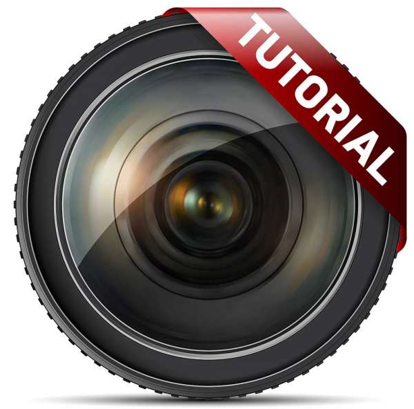 Digital Photography Tips for Perfect Professional Prints