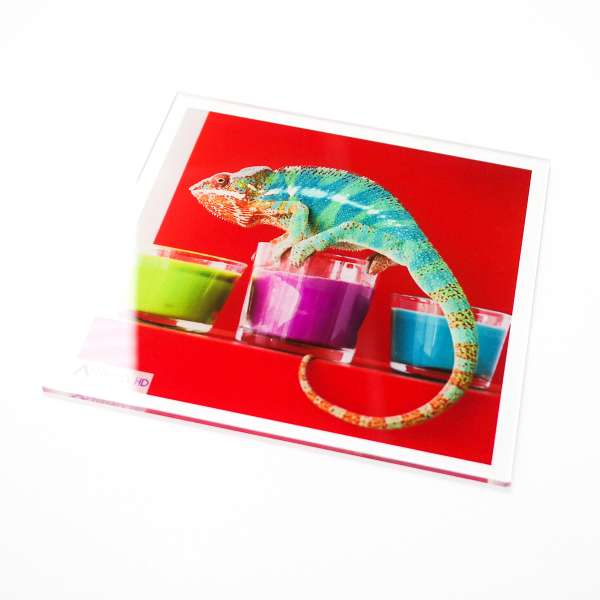Direct To Acrylic Prints | Wall Art & Photo Prints That Pop
