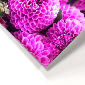 How To Choose The Best Photo Paper For Your Print