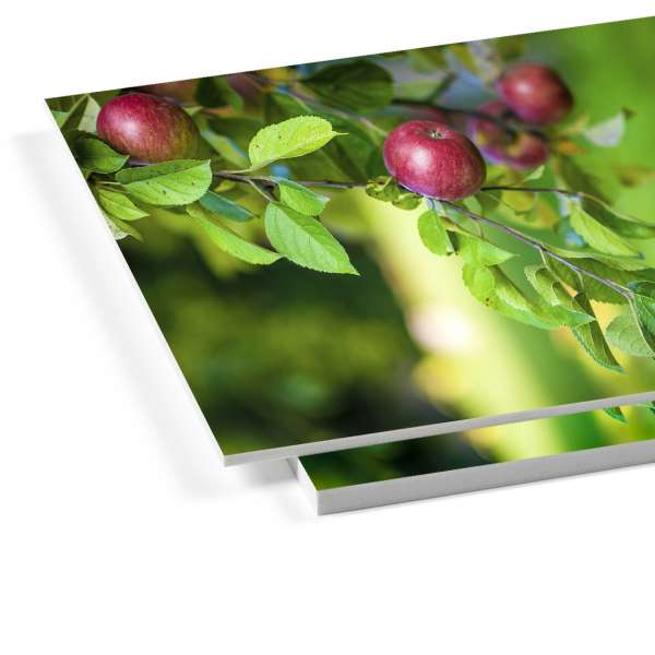 PVC Sintra, Gator & Infinity Foam Board Printing