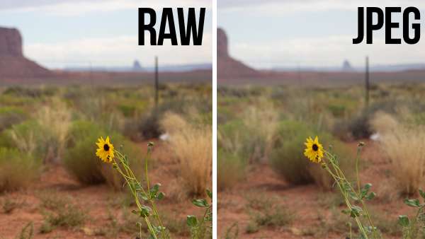ArtisanHD Photography Tips: Camera Settings For Print RAW vs. JPEG