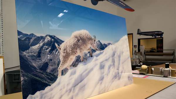 Big Shot Deserves A Big Print: ArtisanHD Client Interview