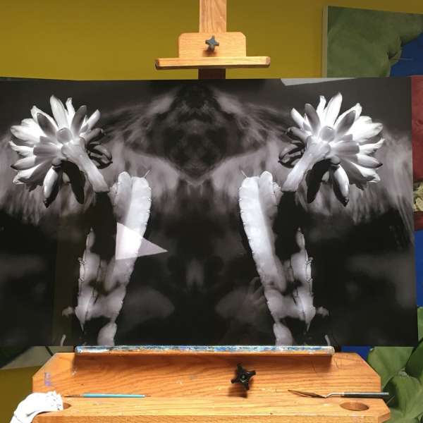 Photography Showcased on Sleek HD Metal Prints: Daniel Prendergast