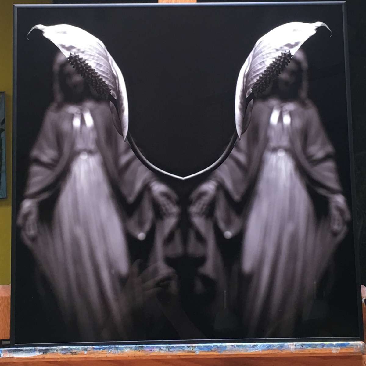 Photography Showcased on Sleek HD Metal Prints: Daniel Prendergast