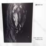 How To Hang Acrylic Floating Frames For A Frameless Look