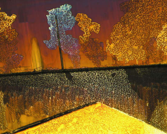 Lee Hendrickson At The Intersection of Art and Science