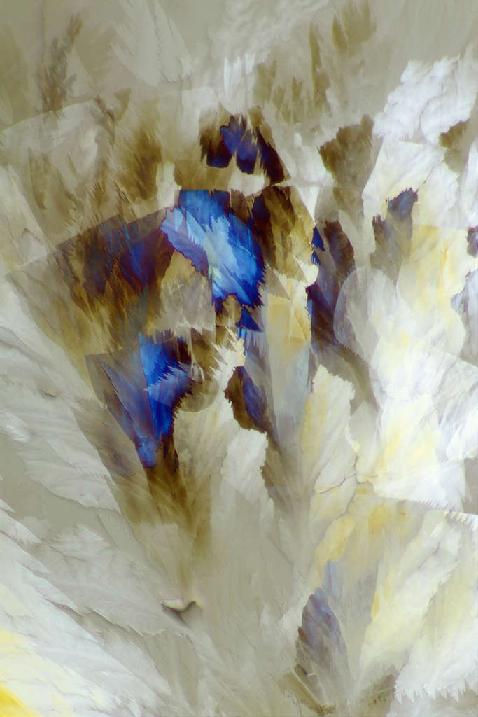 Lee Hendrickson At The Intersection Of Art And Science