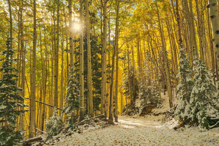 Landscape Photographer Stan Rose: Capturing and Preserving the Joy of ...