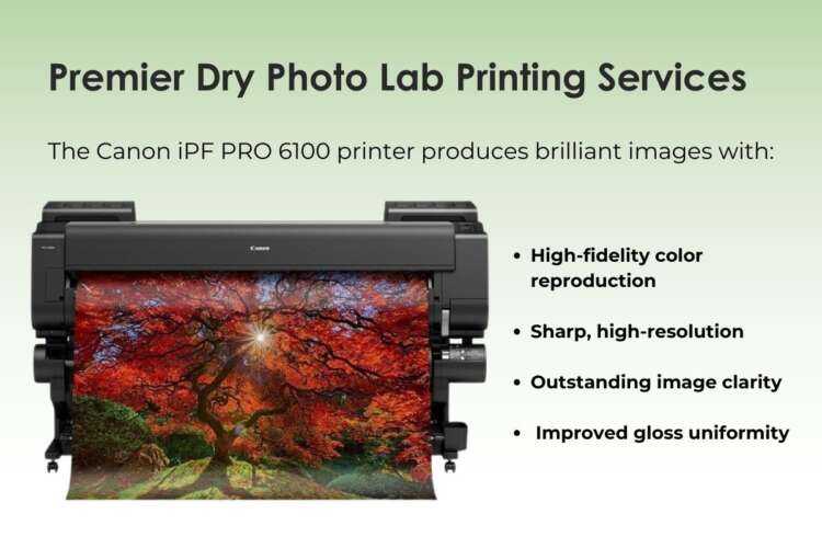 Wet Lab Vs Dry Lab: Why Photo Printers Are Ditching Wet Labs