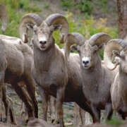 Landscape Photographer Suzanne Mathia Is 1st ArtisanHD Ambassador