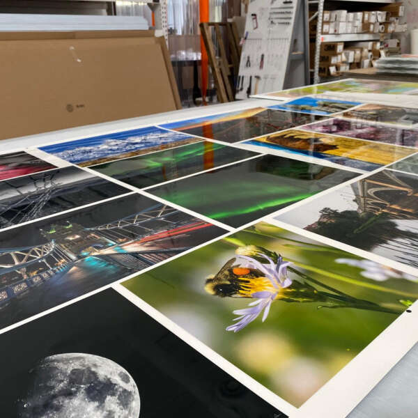 Wet Lab Vs Dry Lab: Why Photo Printers Are Ditching Wet Labs